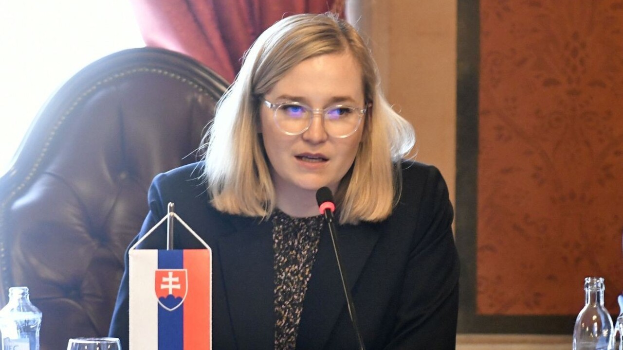 Verejný ochranca práv by mohol zostať vo funkcii až do zvolenia nového, navrhuje SaS | ta3