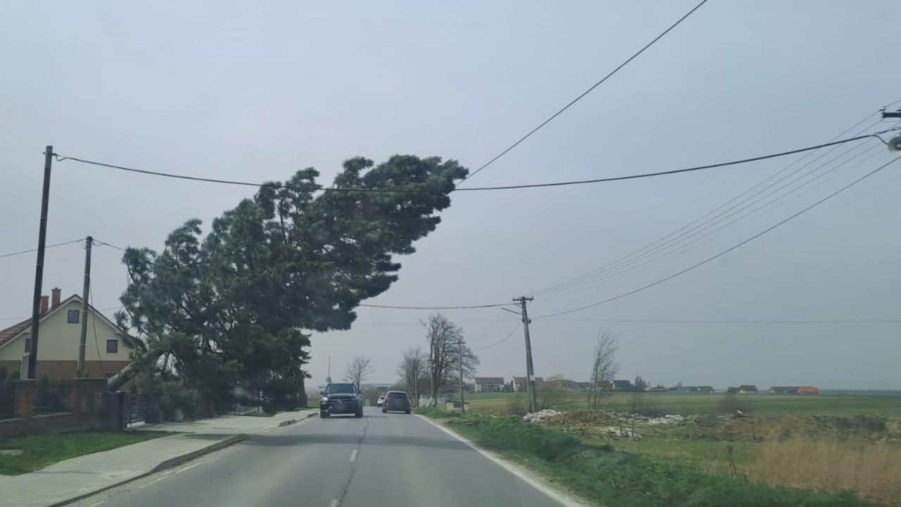 Slovensko bičuje silný vietor. Na Orave popadali stromy, z hôr hlásia ...