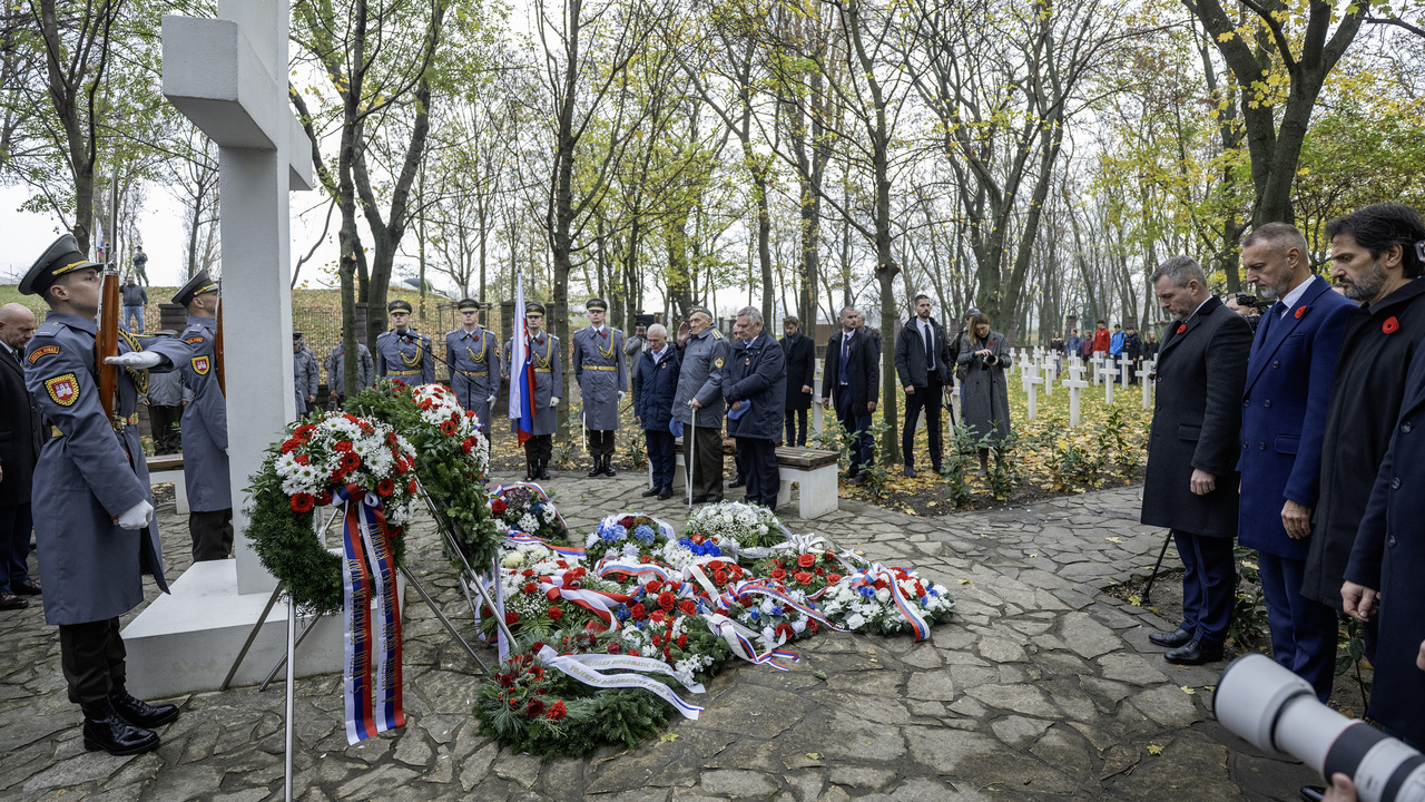 Svet si 11. novembra uctieva veteránov. Červené maky symbolizujú odvahu ...