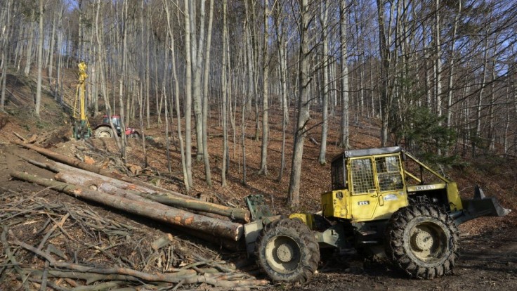 Ťažba dreva v Slovenskom raji sa podľa odhadov výrazne zníži, dôvodom ...