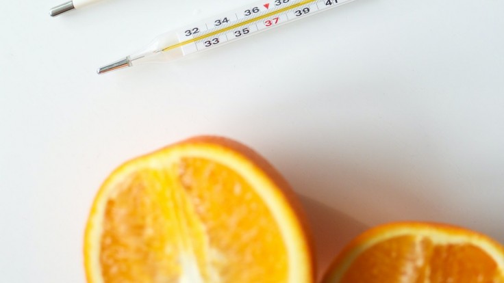 Vysokú teplotu nezrazia len lieky: Na horúčku zaberajú tieto bylinky ...